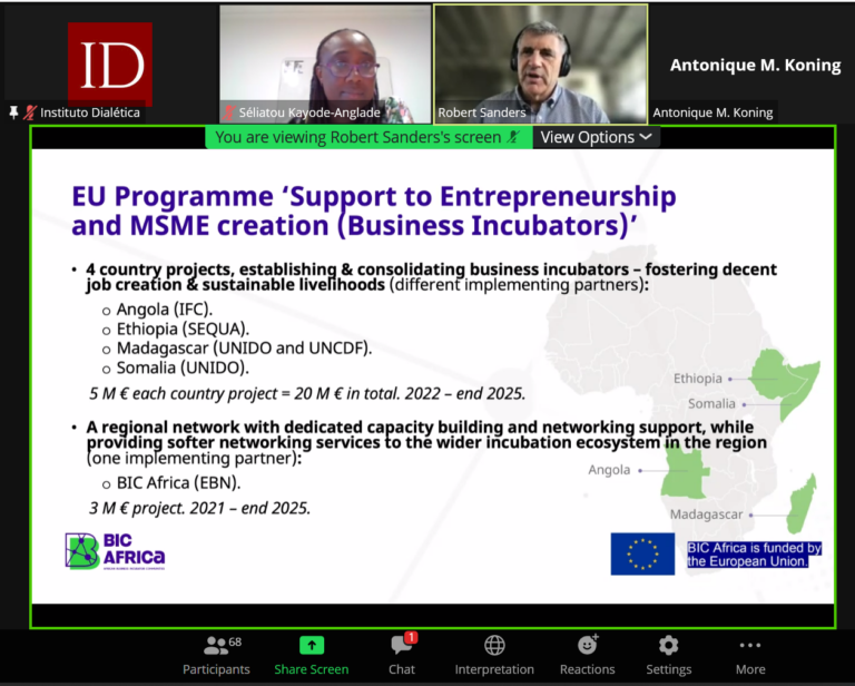 BIC Africa participated at the TEI IYBA Working Group on Ecosystem ...