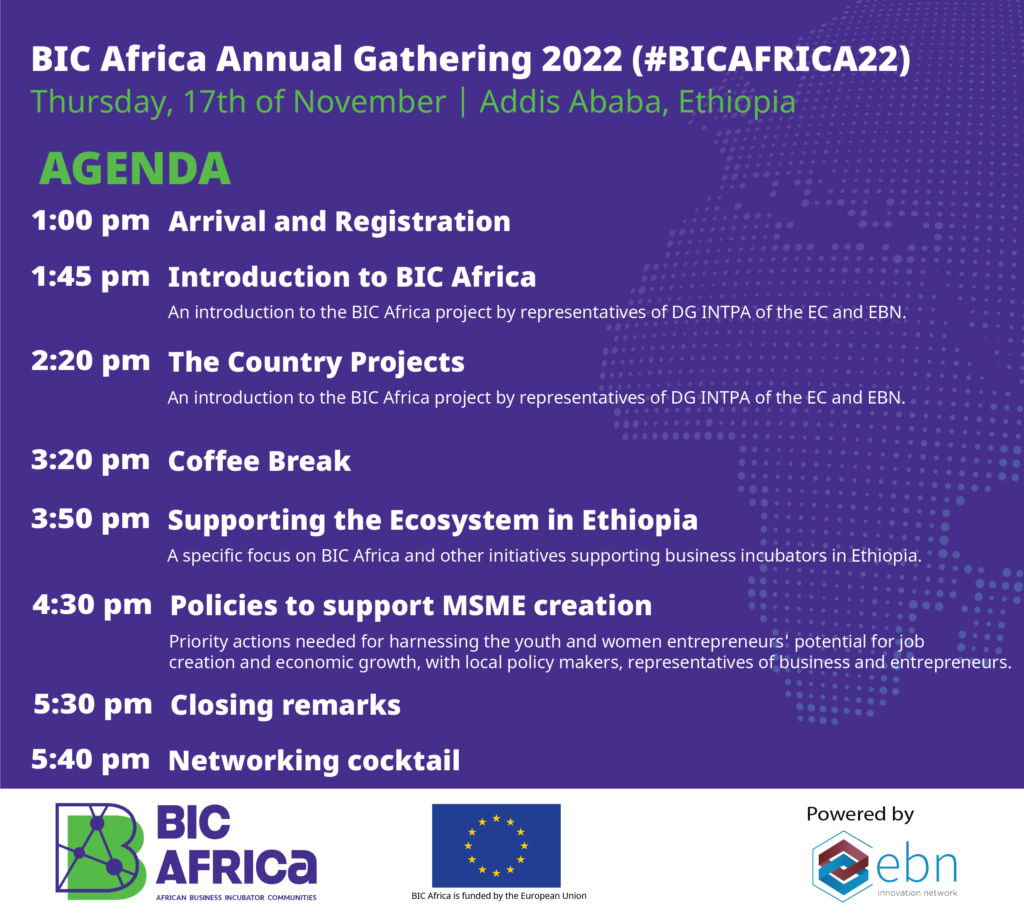 The first BIC Africa Annual Gathering 2022 - BIC Africa