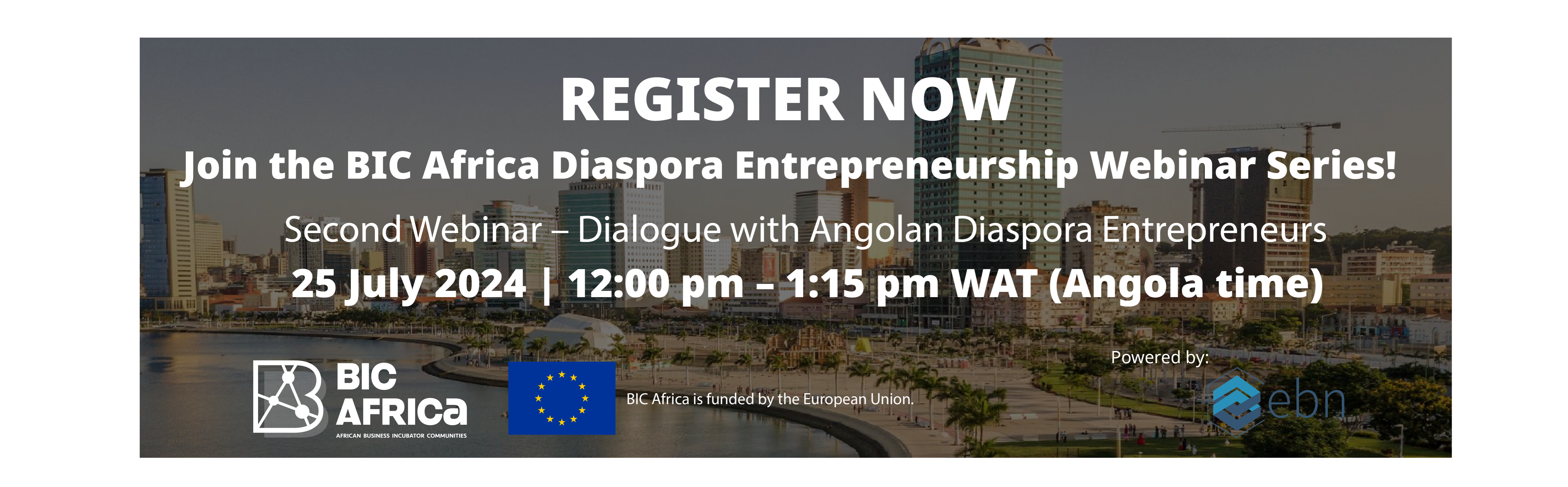 BIC Africa - BIC Africa BIC Africa Diaspora Entrepreneurship Webinar Series : Dialogue with ...